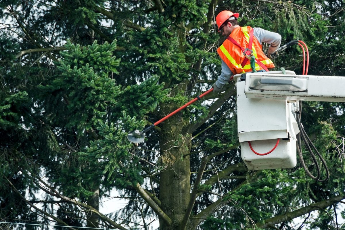 Forestry Trucks - Sagon Trucks & Equipment